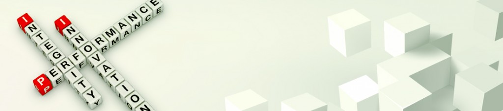 Performance Integrity Model | Rolta OneView™